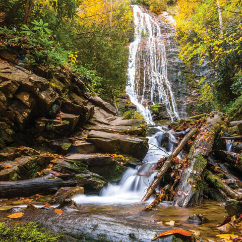 Home - Eastern Band of Cherokee Indians