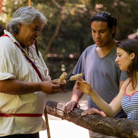 Home - Eastern Band of Cherokee Indians
